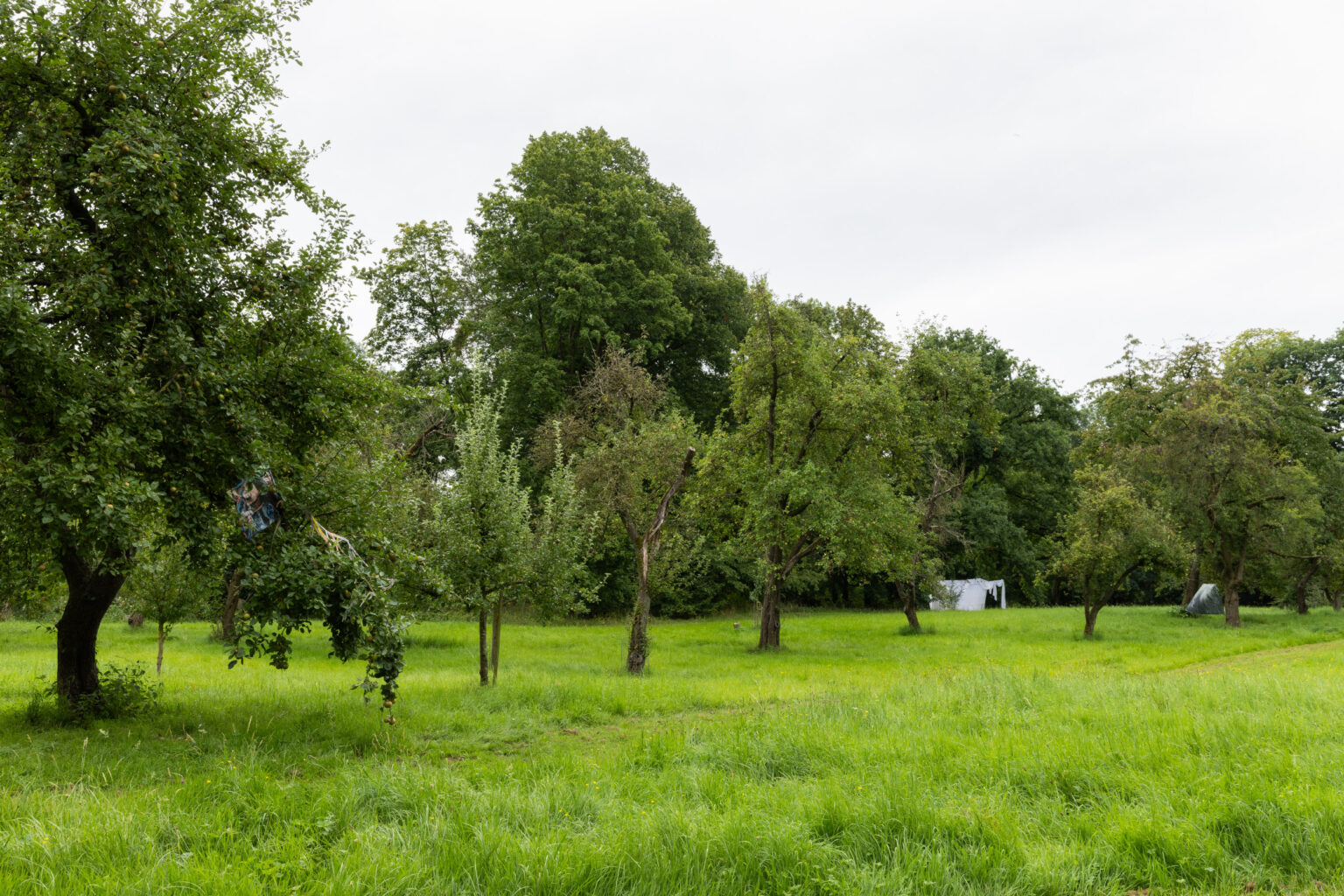 Obsequia – it depends Kunstausstellung im Park – Stiftung Edelhof ...